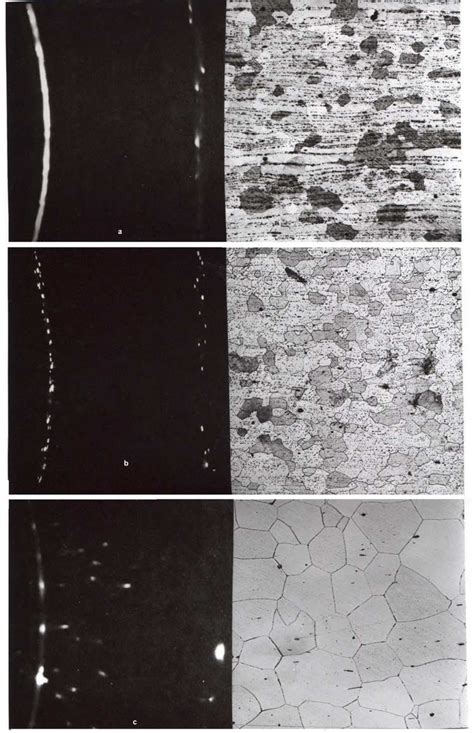 Effect Of Recrystallization Annealing On The Microstructure 100x And