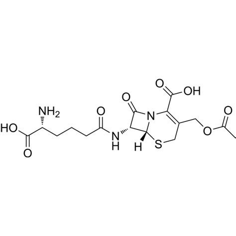 Cephalosporin C Anti Bacterial Agent Medchemexpress