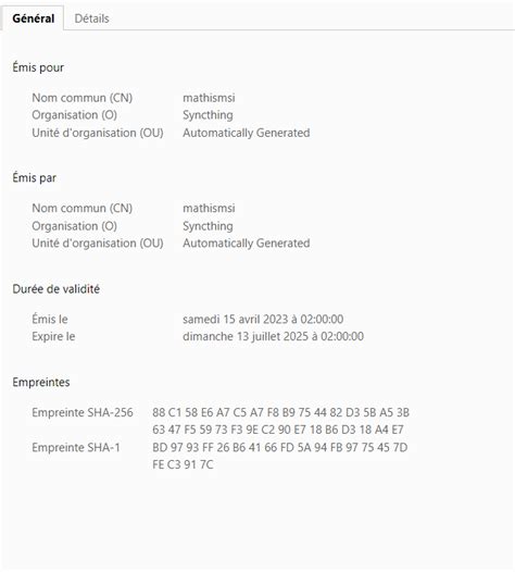 How To Modify The Gui Certificate Support Syncthing Community Forum