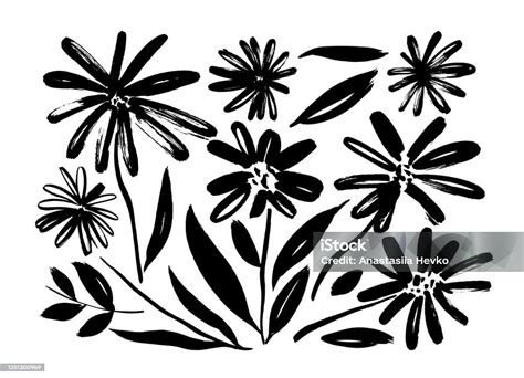 Kamomill Handritade Färg Vektor Uppsättning Bläck Teckning Blommor Och