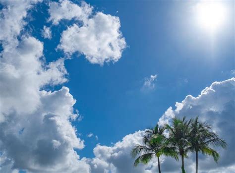 Previsão De Tempo X Previsão Climática Climatempo