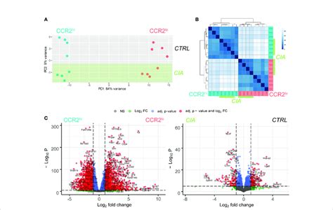 Distinctiveness Of Transcriptome Clustering In Ccr2 Hi And Ccr2 Lo