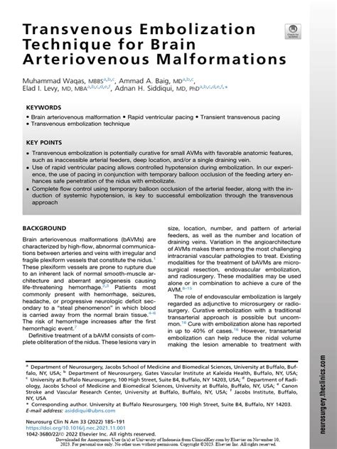 2022 Transvenous Embolization Technique For Brain Arteriovenous Malformations Pdf Vein