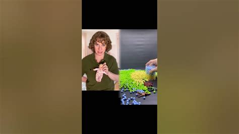 Greenscreen Skit Comedy Characters Actor Voiceactor Writer