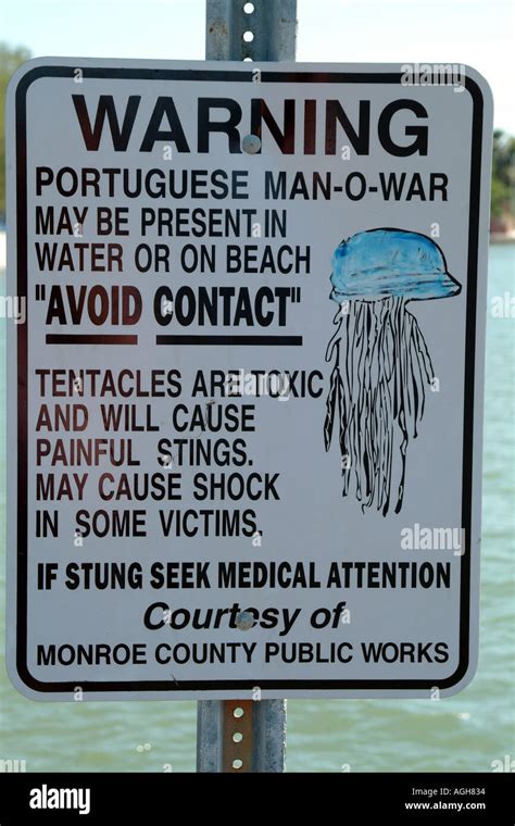 Beach Warning Sign Jelly Fish Portuguese Man O War Florida Fl Usa Stock