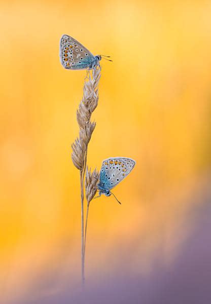 Blue By Detlef Knapp 500px