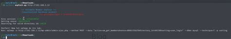 wordpress ultimate member sql injection cve 2024 1071