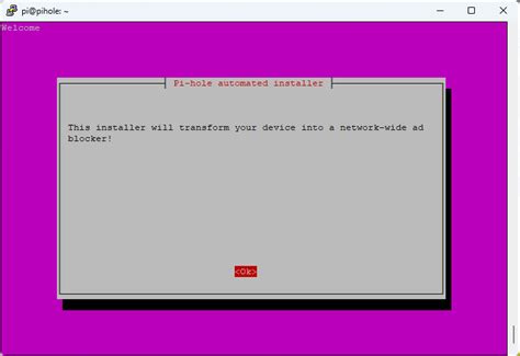 Pi Hole On Ubuntu Vm With Truenas Virtualmvp