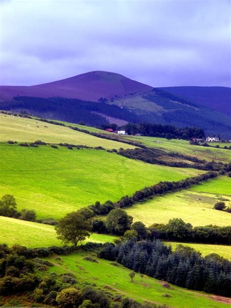 40 Shades Of Green In Ireland