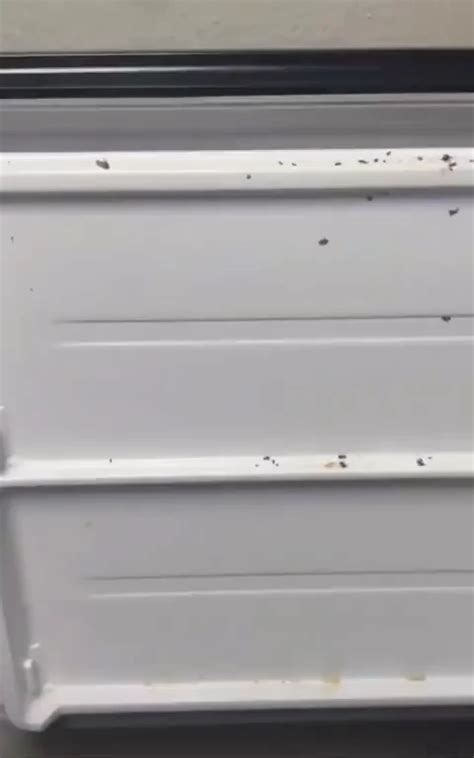 Smoking A Roach Scrolller