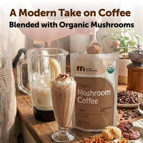 Best Mushroom Coffee Organic Lions Mane Mushroom Instant Blend
