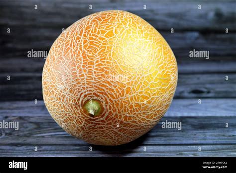Pepo Fruit