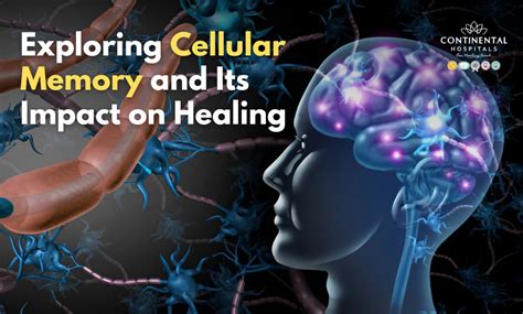 Exploring Cellular Memory And Its Impact On Healing