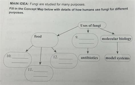 Solved Main Idea Fungi Are Studied For Many Purposes Fill In The
