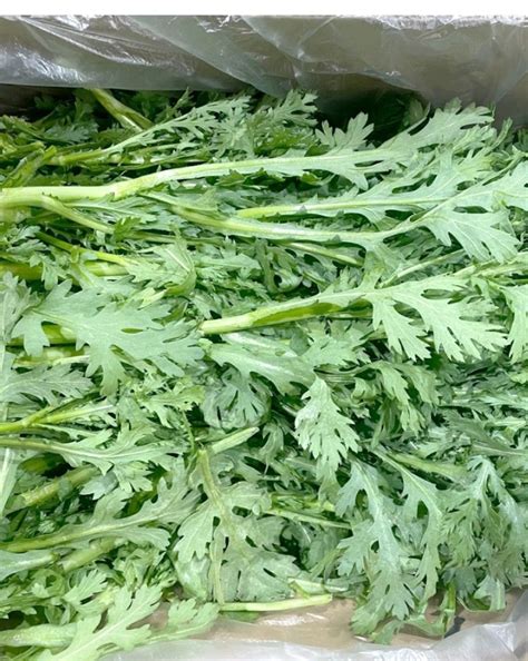 쑥갓 4kg Oneclick Sg