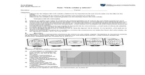 Guía Ciclo Celular Y Mitosis Pdf Document