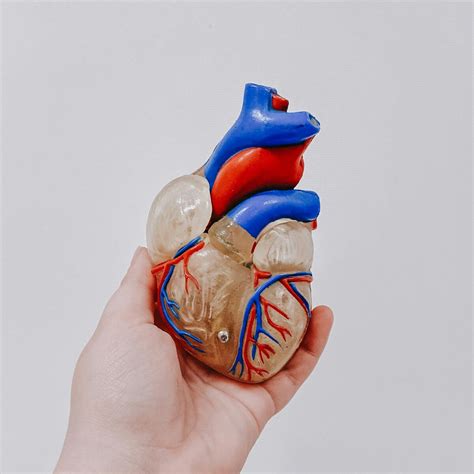 Heart Disease Prediction Dataset Kaggle