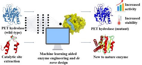 Machine Learning Meets Enzyme Engineering Examples In The Design Of Polyethylene Terephthalate