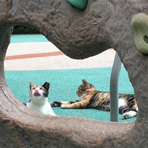 강지희 없음 구직중