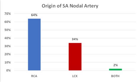 Figure 1 From Study Of Arterial Supply To Sinoatrial Node In Normal