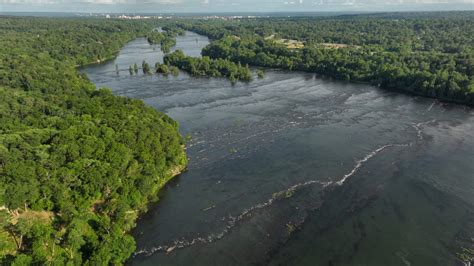 Savannah The River Basin Center