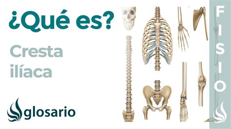 ֍ Cresta Ilíaca ⚕️ Clínica Estemedic