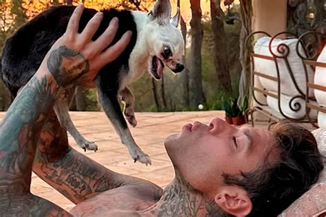 Fedez Giulia Honegger