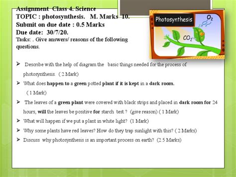 Assignment Class 4 Pdf