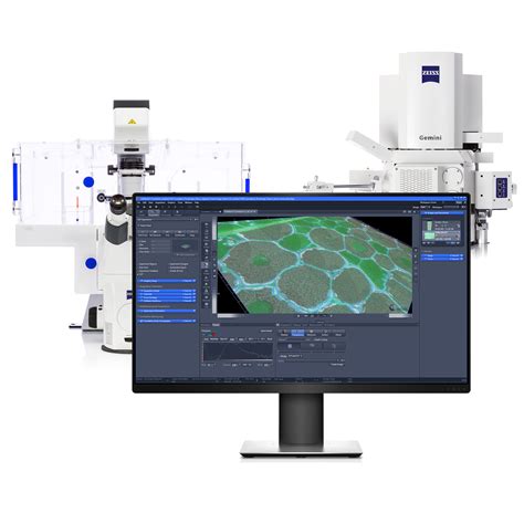 Zeiss Zen Correlative Array Tomography