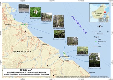 Map Of Sampling Area Download Scientific Diagram