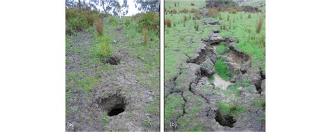 9 Sodic And Saline Soils Land Drainage