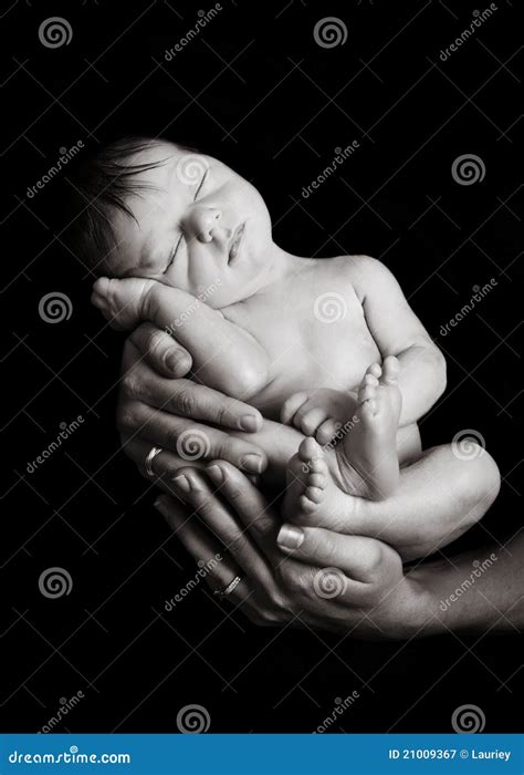 Newborn Hands Stock Image Image Of Snug Safe Protected 21009367