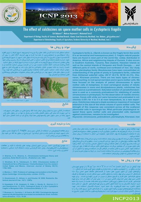 Pdf The Effect Of Colchicines On Spore Mother Cells In Cystopteris