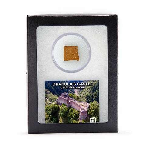 Dracula Castle Brick Mini Museum