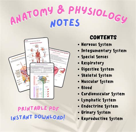 Anatomy And Physiology Notes Anatomy Study Guide Anatomy Notes