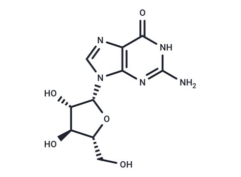 Ara G 阿糖鸟苷 Nucleoside Antimetabolite Analog Targetmol