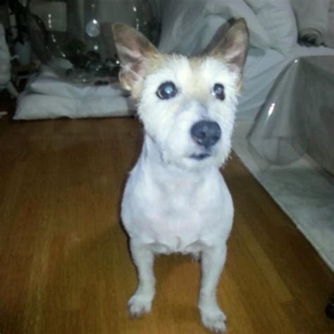 Ok Hitomls Post Lemon8