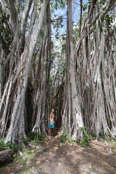 Woking The World — 12 May 2017 Afternoon Moron Scuba Diving As