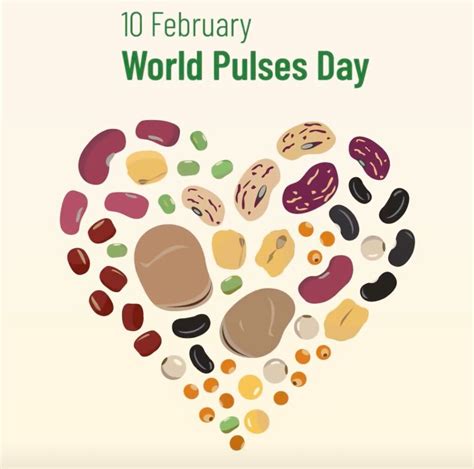 Worldpulsesday Ntuthuko International