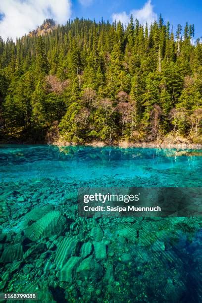 Crystal Clear Water Lake Photos And Premium High Res Pictures Getty