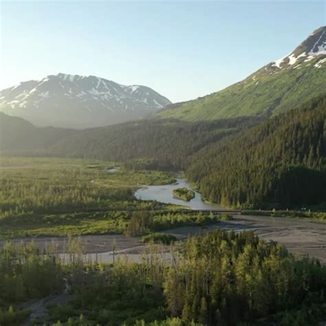 Video Alexandre Thibault Posted On Linkedin