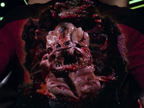 The “nubbin Bug” Lives A Star Trek Prop Resurrection With 3d Printing