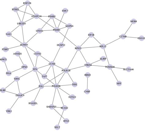 Prediction Of Interactions Between Module Genes And Significant