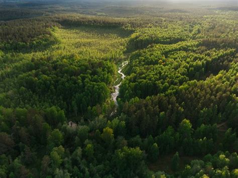 Buffer Pools Mitigating The Risk Of Reversals Bezero Carbon