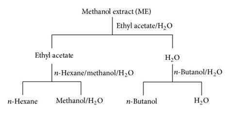 Liquid Liquid Partition Method From The Methanolic Extract Me To The