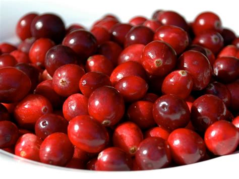 Are Cranberries Good For Your Teeth At Hazel Anderson Blog
