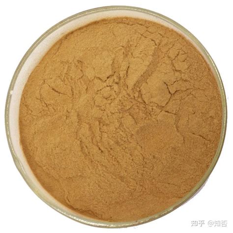 中药材酸枣仁的相关知识总结 知乎