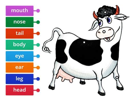 spotlight 3 module 5 cows are funny labelled diagram