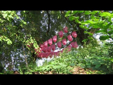 Brydee Rood A Gallery From Arts On Sunday Rnz National