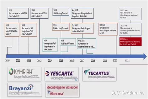 目前6种上市的cart细胞产品概略 知乎